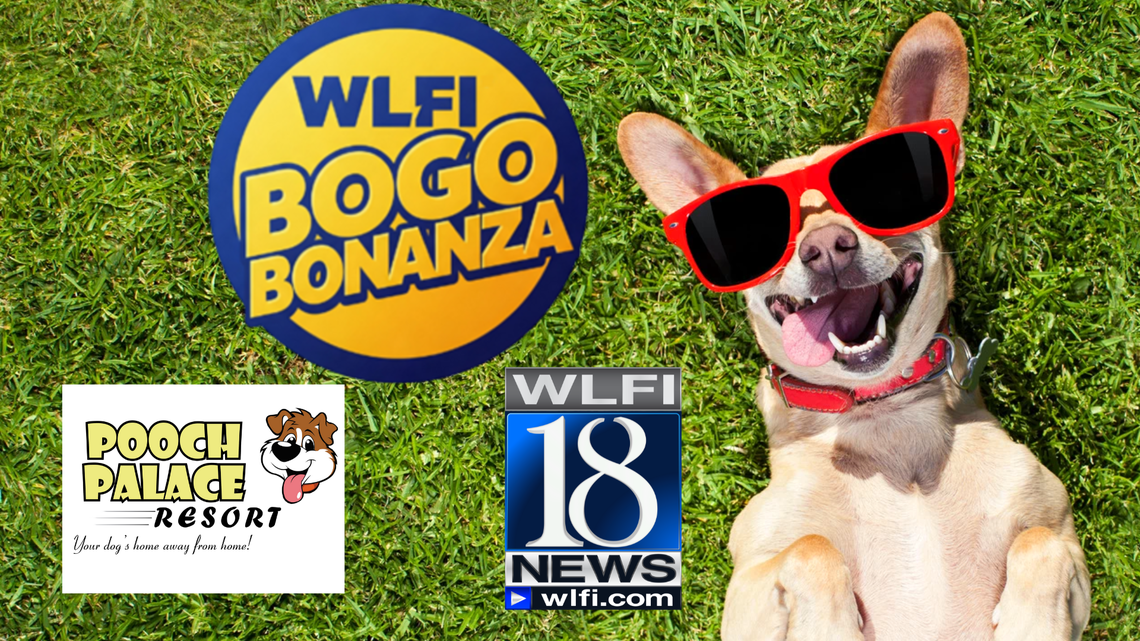 BOGO BONANZA - Pooch Palace Resort